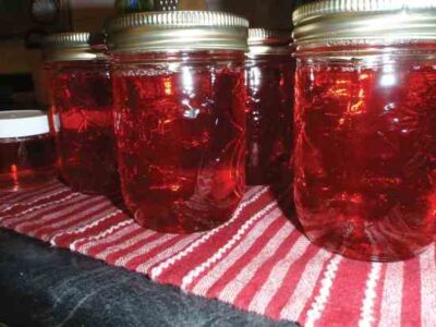 Delicious Wild Rose Jelly Recipe – Mother Earth News